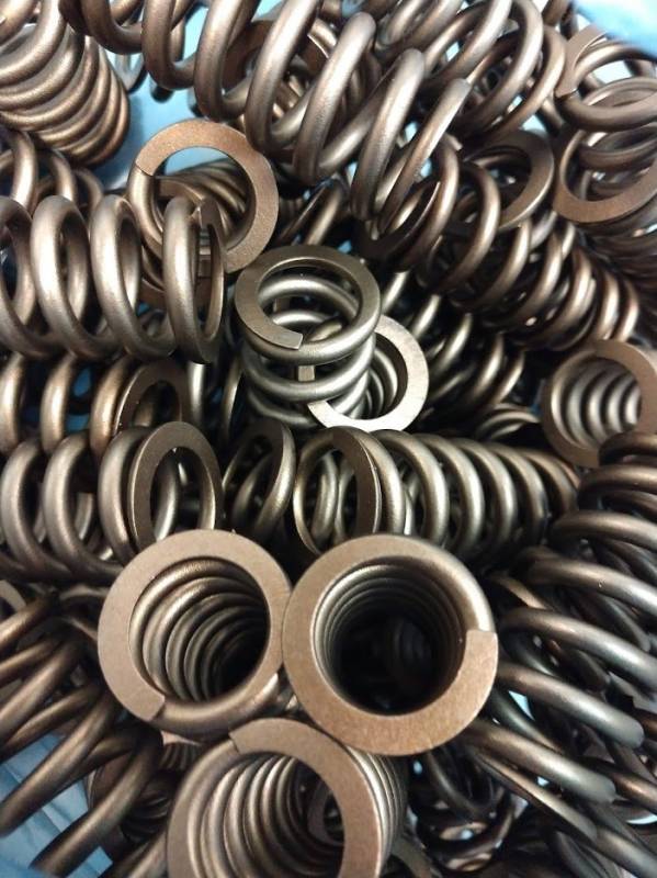 Manton Racing Products High Rev/High Boost Valve Springs for Ford (2003 ...